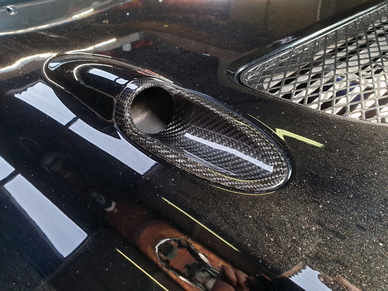 Carbon fiber Inserts inhood